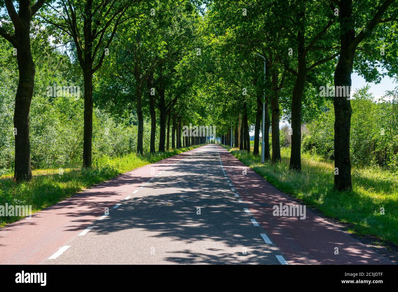 Dutch road between villages, transportation in Netherlands for cars ...