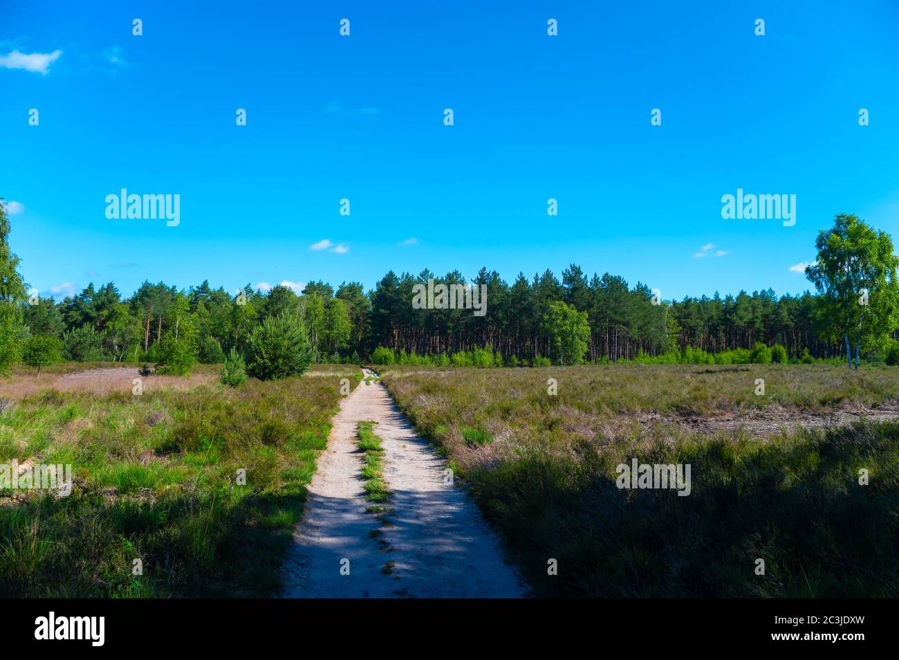 Summer vacation destination in Europe, green Kempen forest and meadows ...