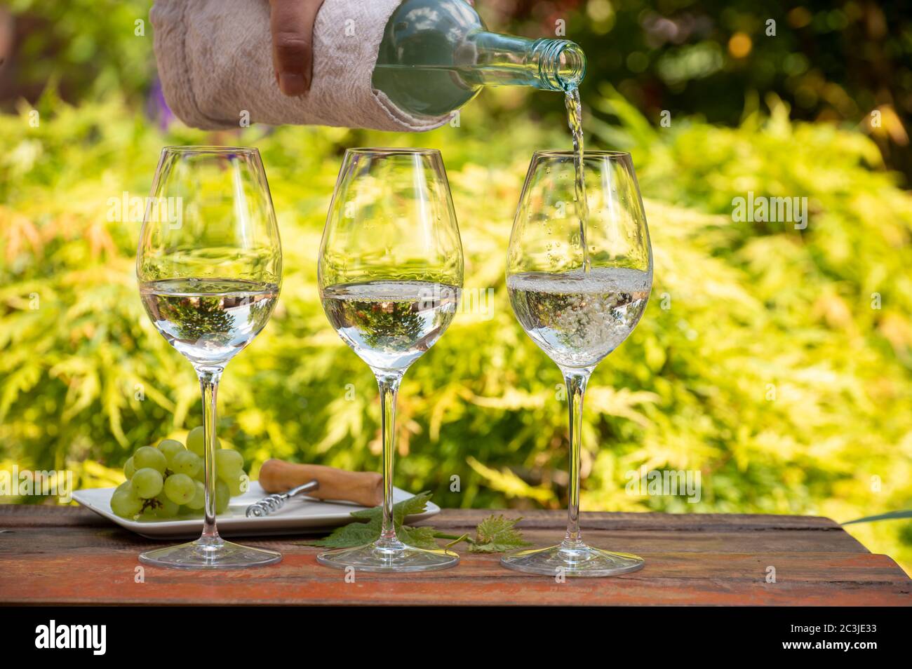 White wine tasting on winery terrace, pouring of cold dry wine in ...