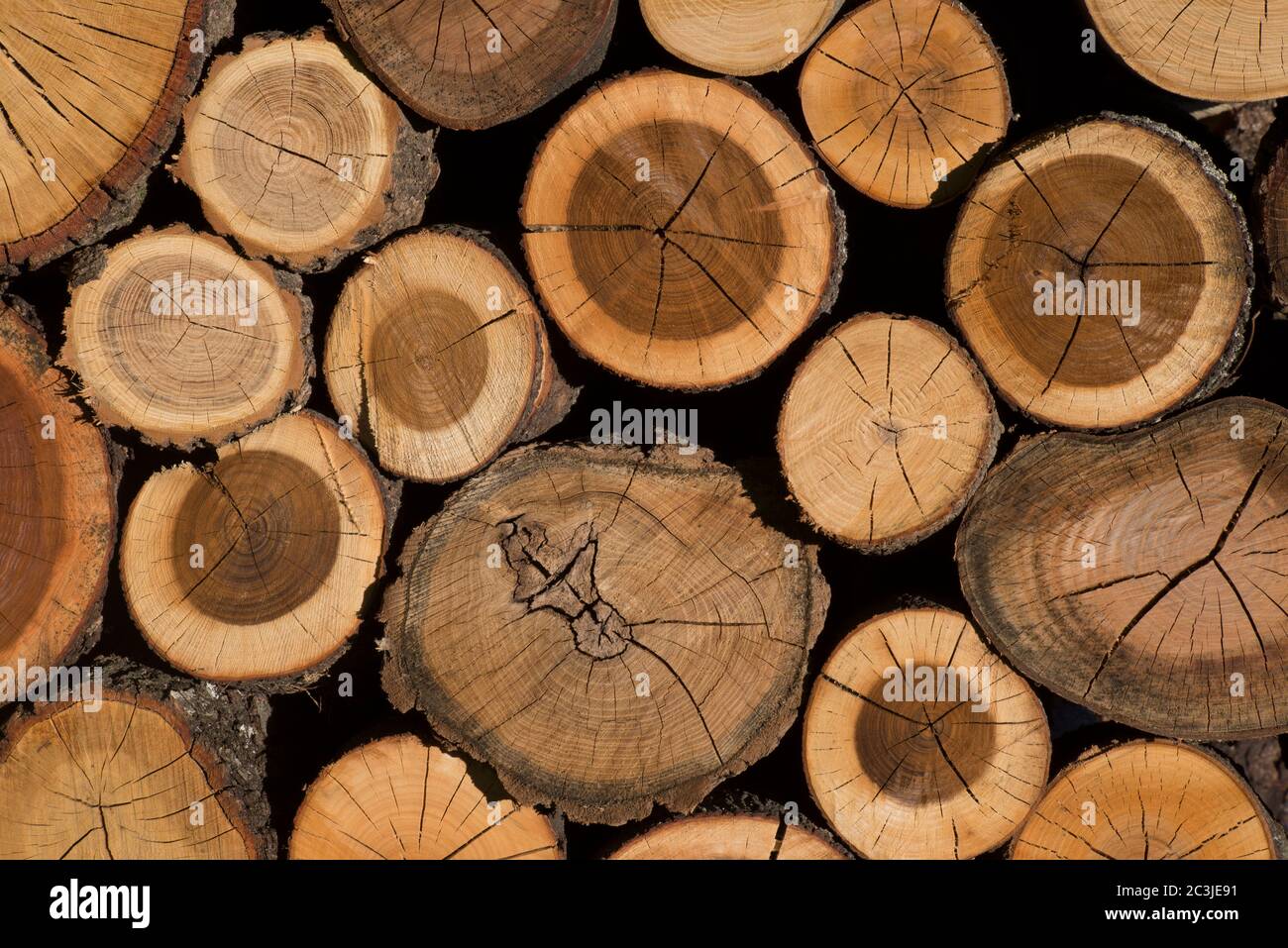 Photo stack technique hi-res stock photography and images - Alamy
