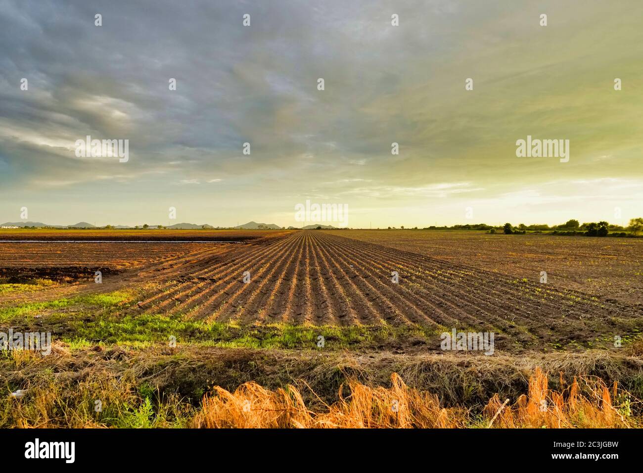 Vast field with a soil ground during daytime Stock Photo - Alamy