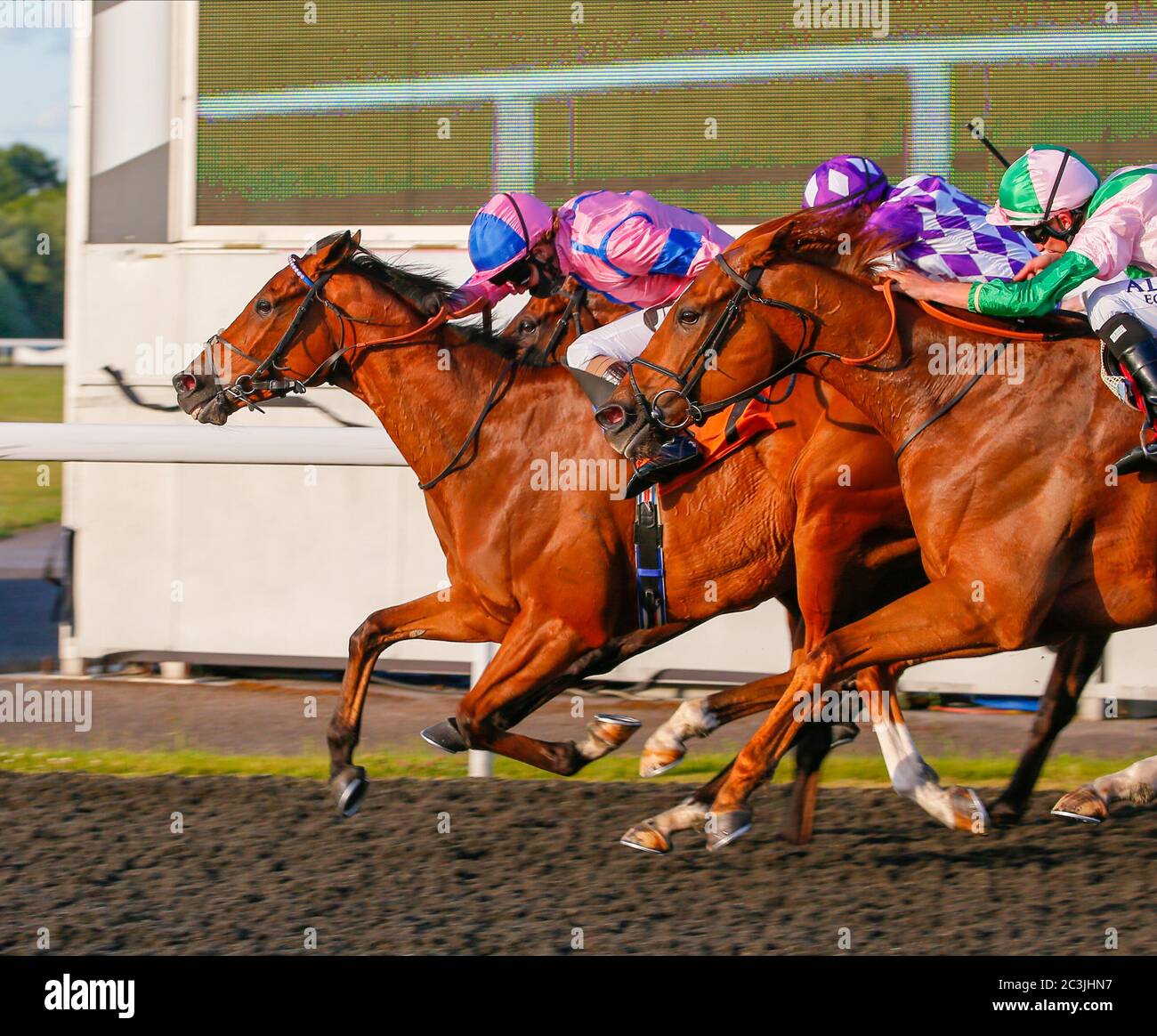 Mordred hi-res stock photography and images - Alamy