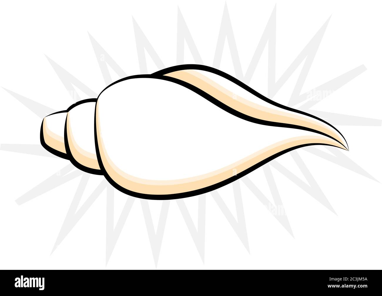 Conch Vector Illustration Stock Vector Image & Art - Alamy