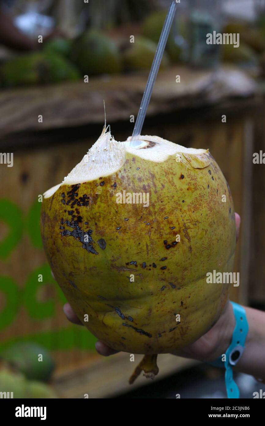 Thai coconut drink with a straw Stock Photo - Alamy
