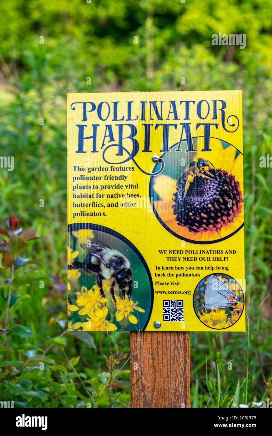 Sign for Pollinator Habitat in a protected national forest meadow in ...