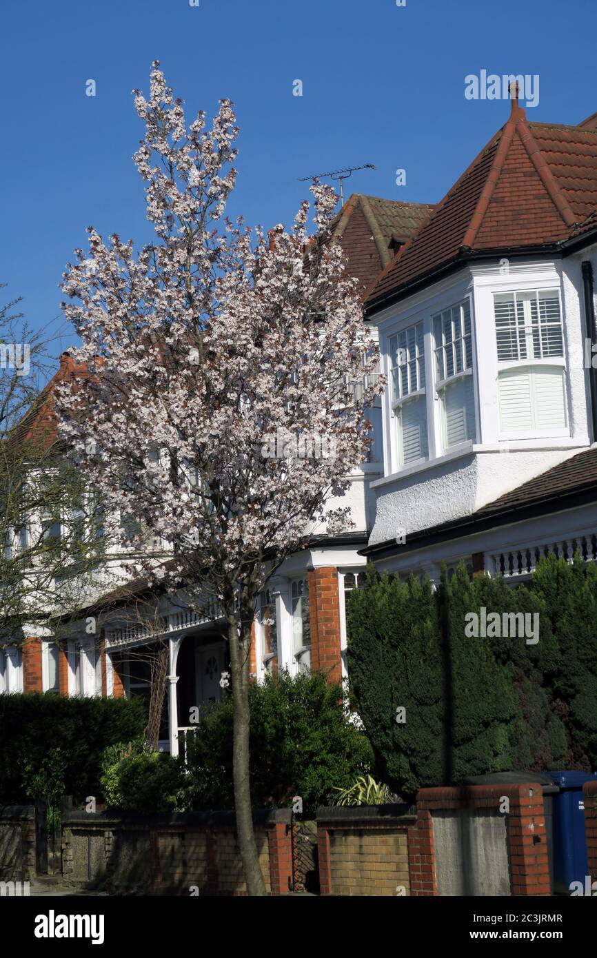 Barnet london houses hi-res stock photography and images - Alamy