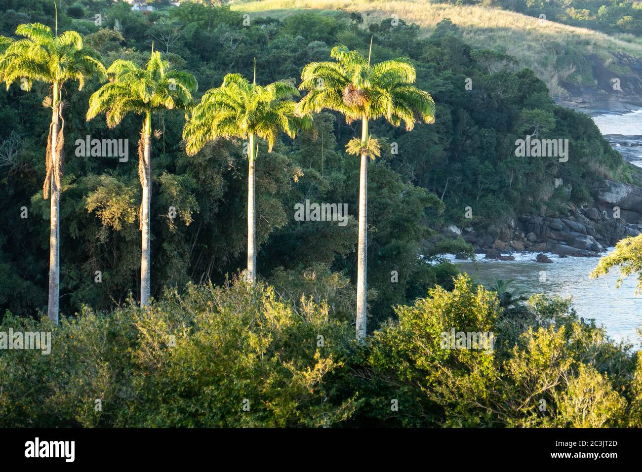 Anchieta Island High Resolution Stock Photography and Images - Alamy