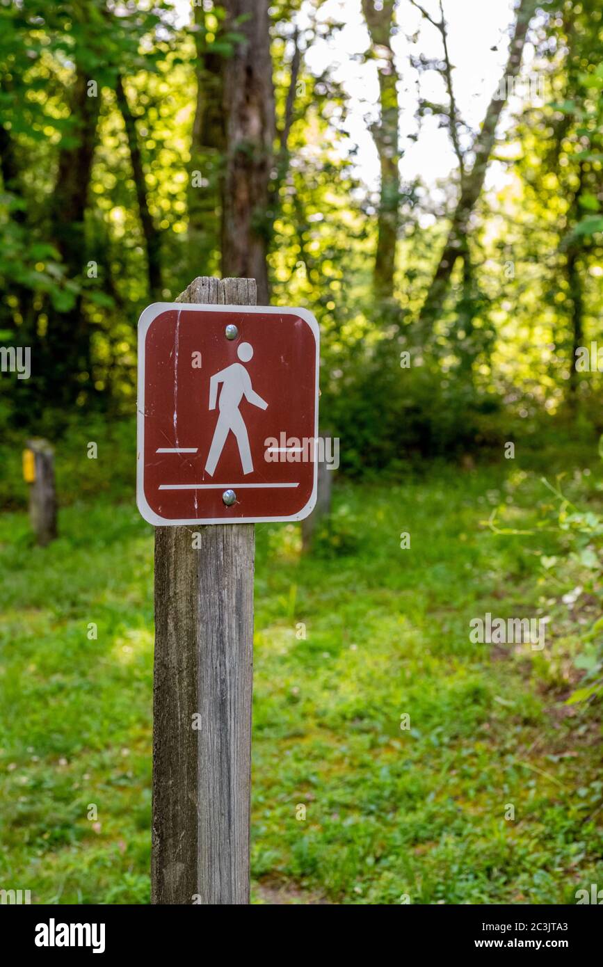 Graphic sign for nature trail in a national forest in Kentucky, USA ...