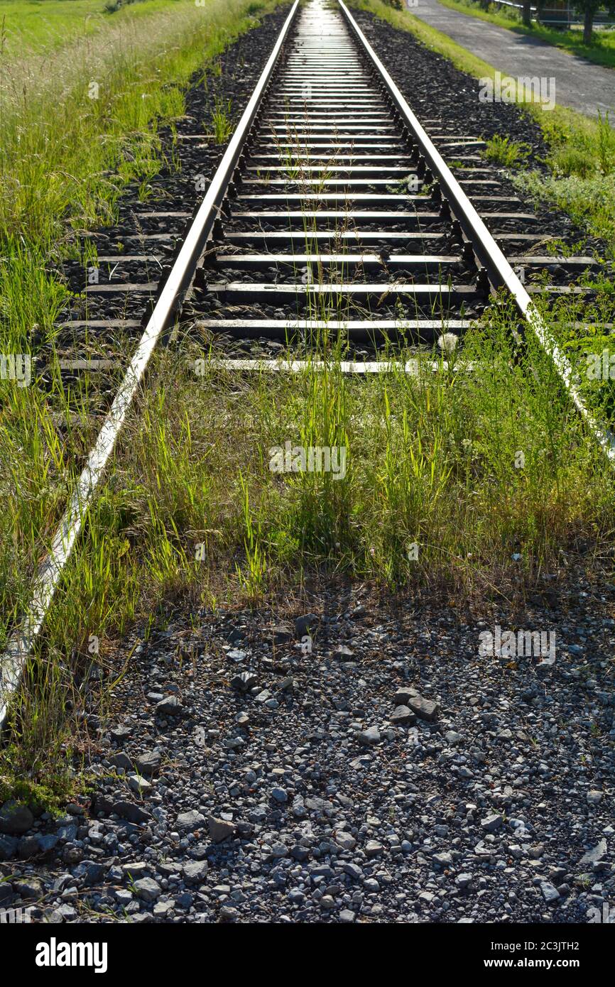 Nature Grass Trains Railroad Aboard The Rocky Mountaineer Train,