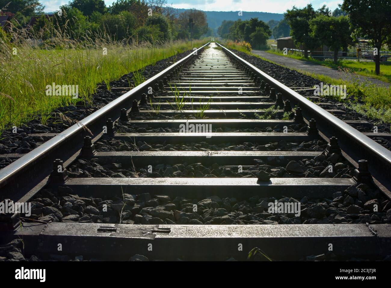 Endless railway tracks between green fields in the evening light Stock ...