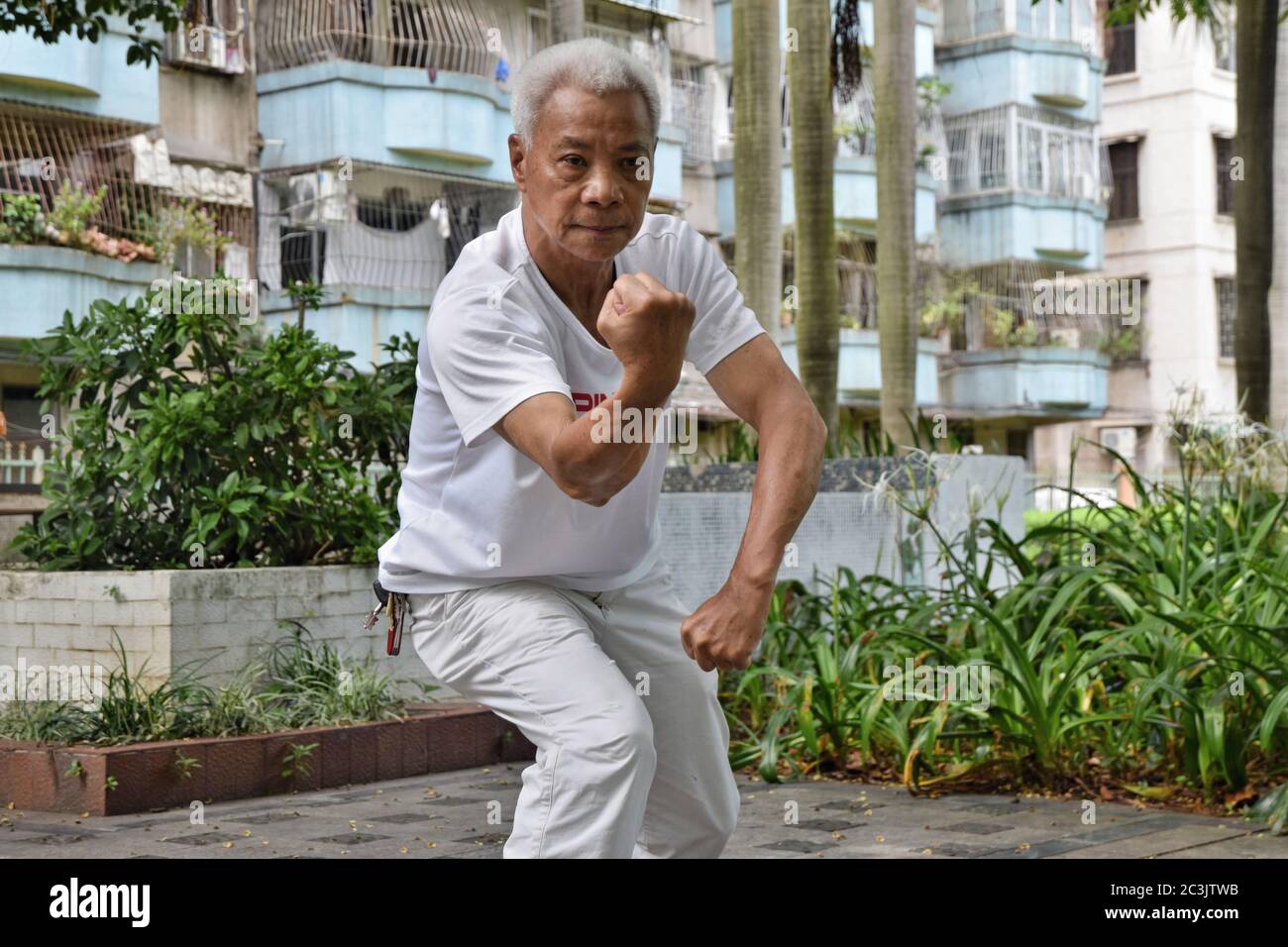 Kung Fu Dragon Style Techniques