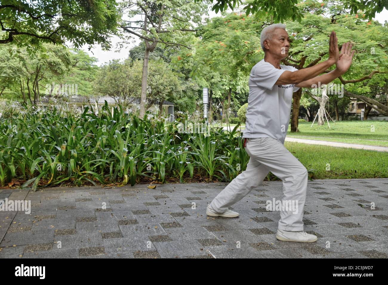 Kung Fu Dragon Style