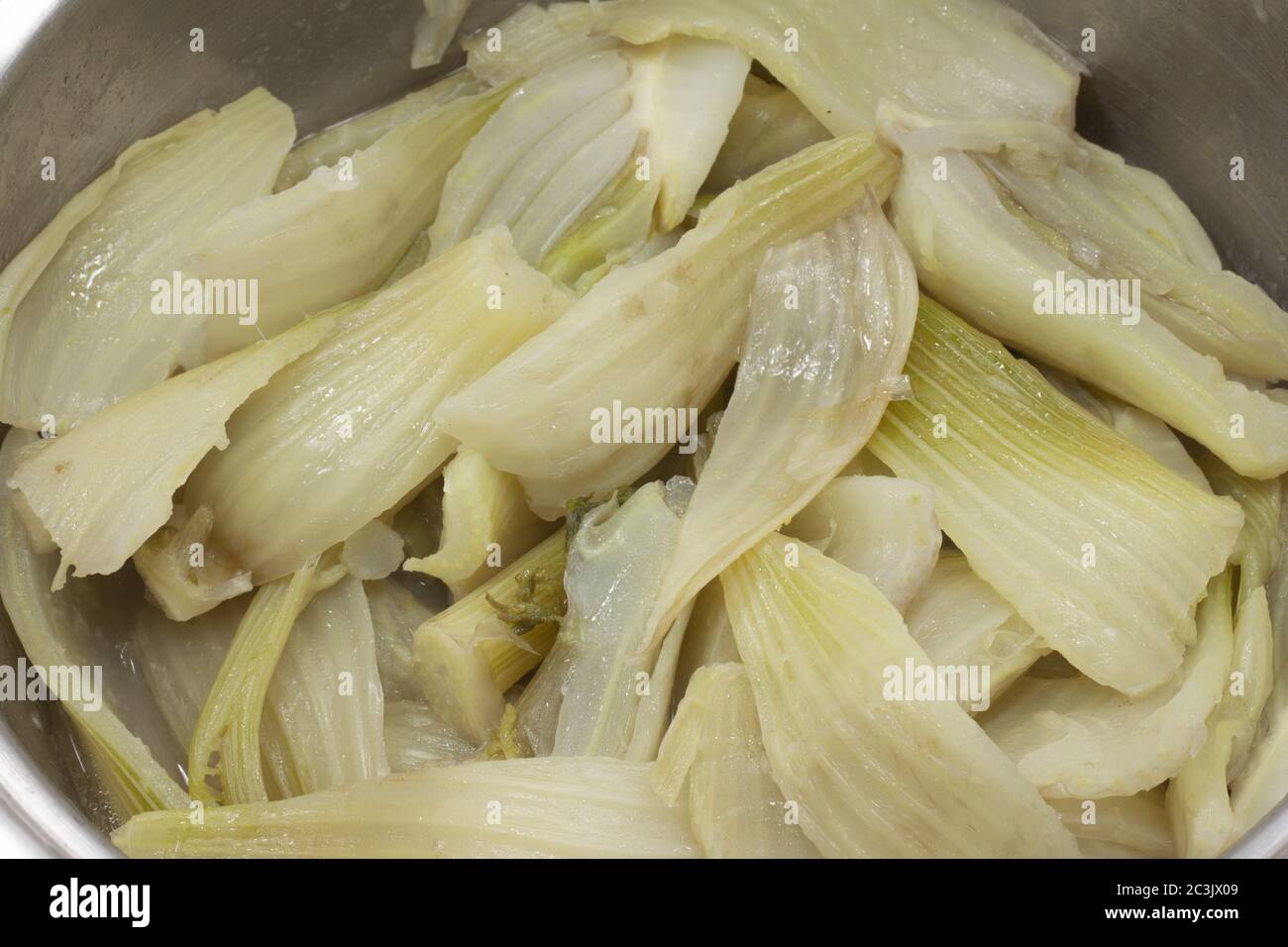 Fennel plant pot hi-res stock photography and images - Alamy