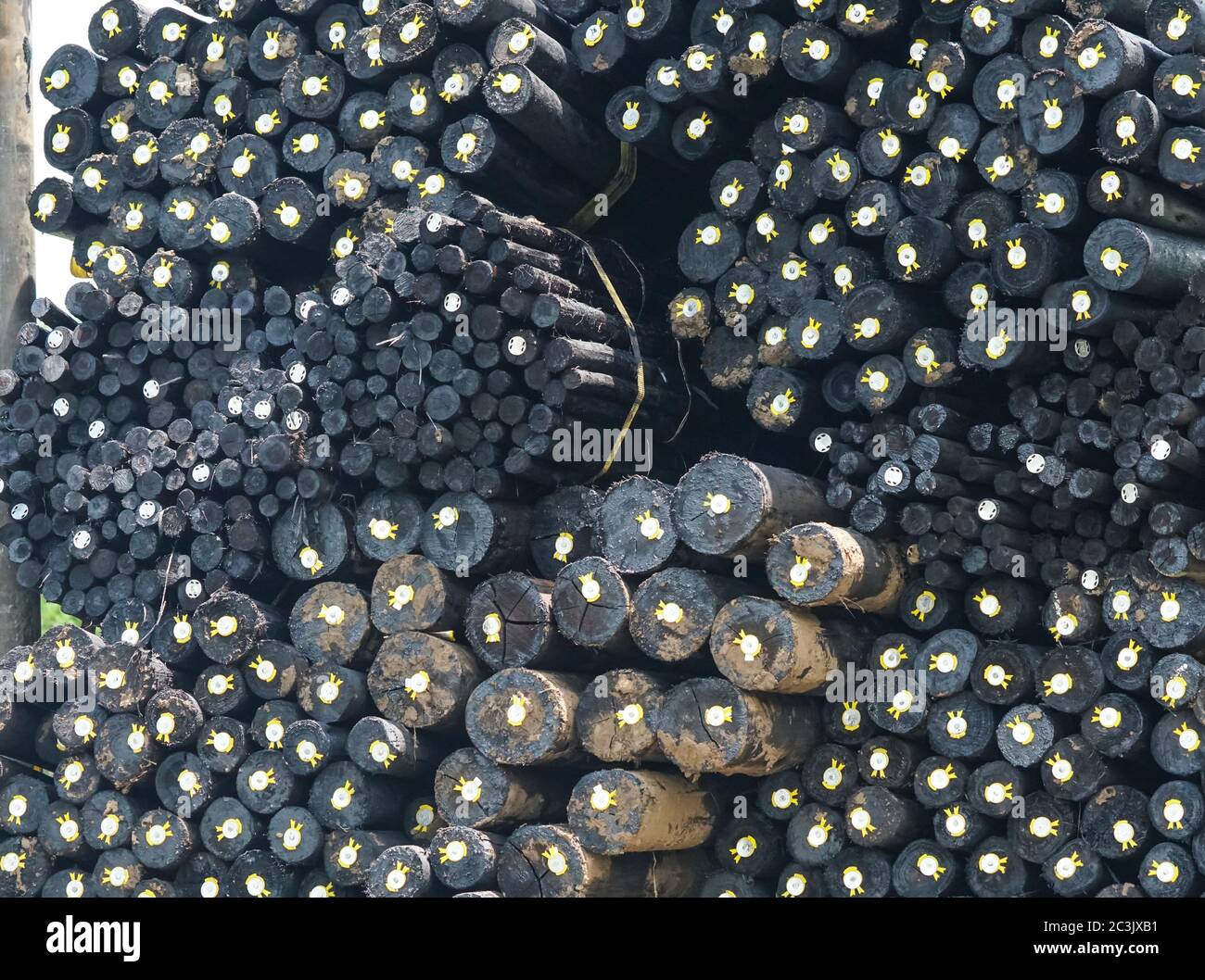 Creosote poles hi-res stock photography and images - Alamy