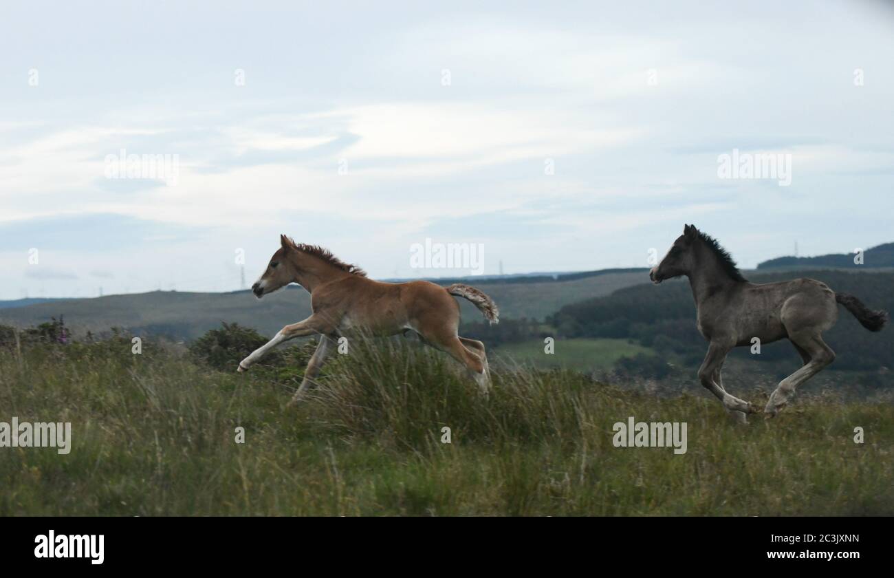 Brecon Beacons, Wales, UK. 20th June 2020. Clouds fill the sky during ...