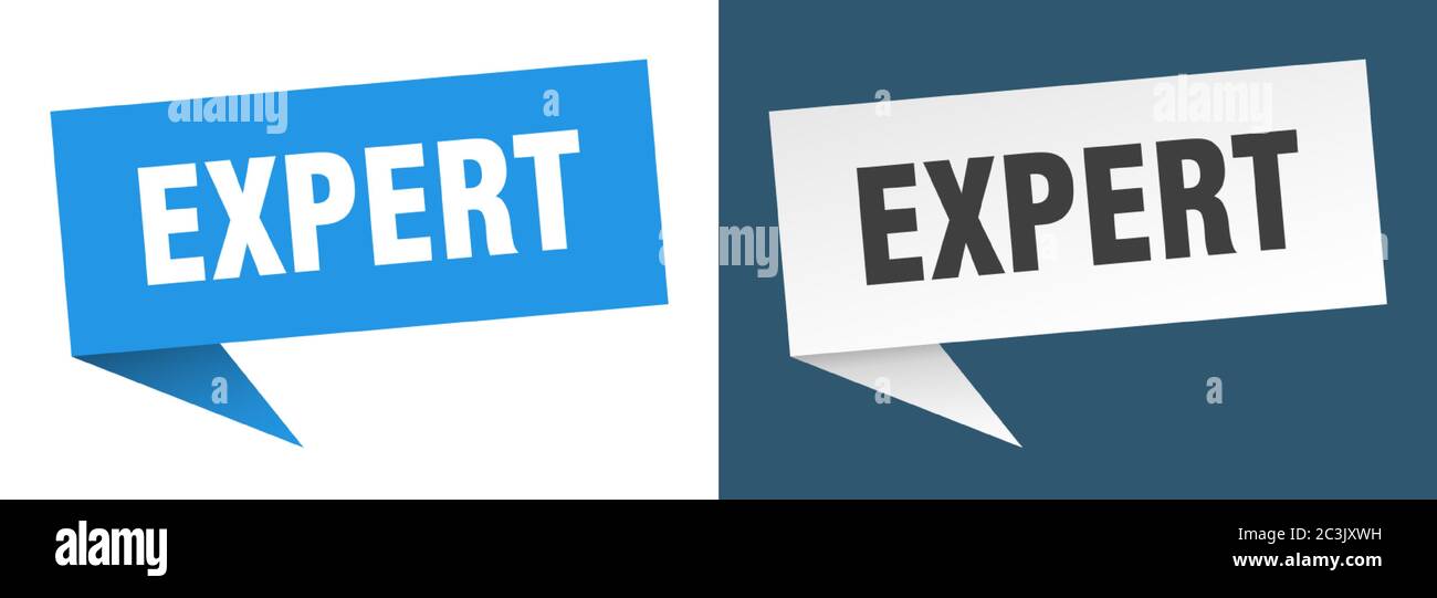 expert banner. expert speech bubble label set. expert sign Stock Vector ...
