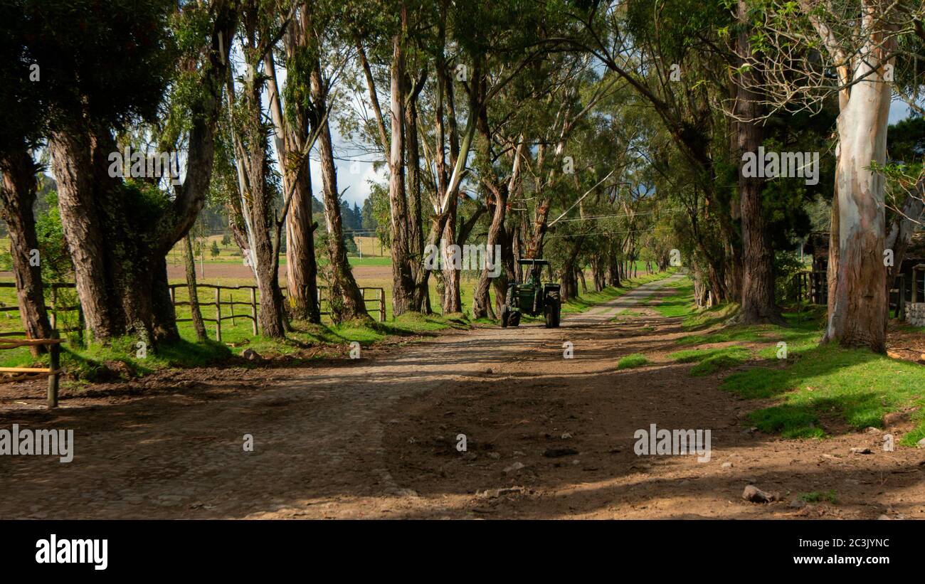 Tractor with leaf machine hi-res stock photography and images - Alamy