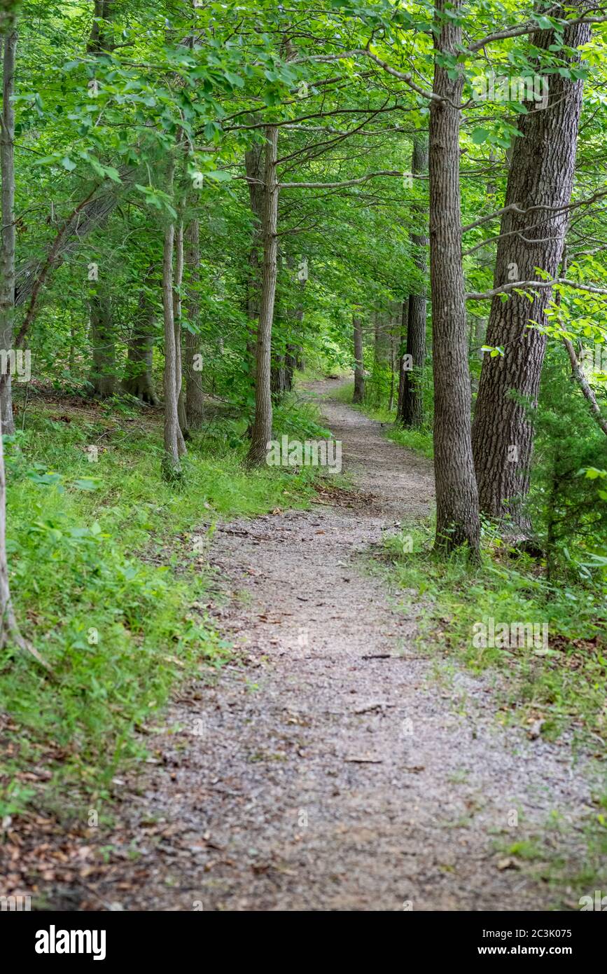 Hiking path in the Daniel Boone National Forest of Kentucky Stock Photo ...