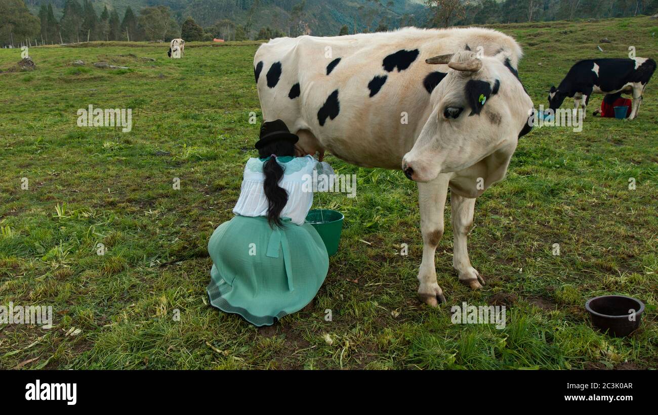 Zuleta, Imbabura / Ecuador - November 9 2018: Indigenous woman of ...