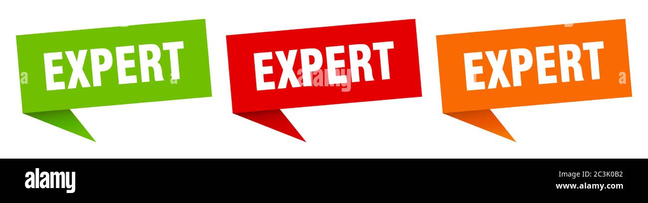 expert banner. expert speech bubble label set. expert sign Stock Vector ...