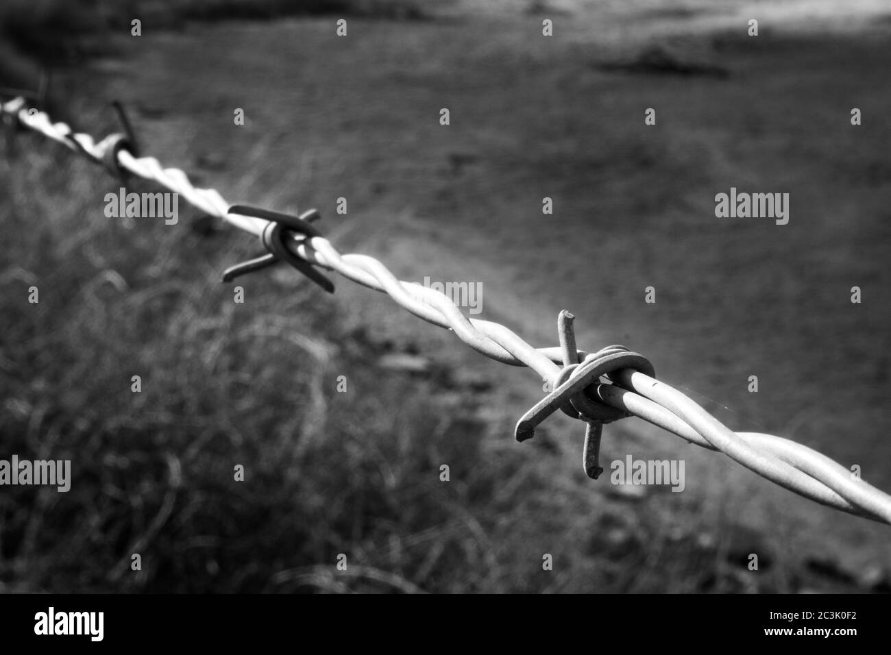 Barbed Wire Fence Stock Photo - Alamy