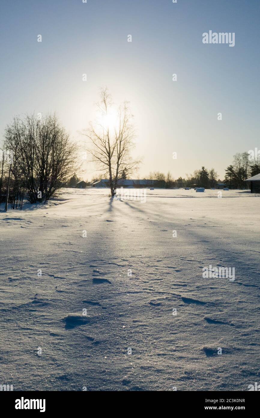 Views from Hailuoto island in Oulu, Finland Stock Photo - Alamy Views from Hailuoto island in Oulu, Finland Stock Photo - Alamy