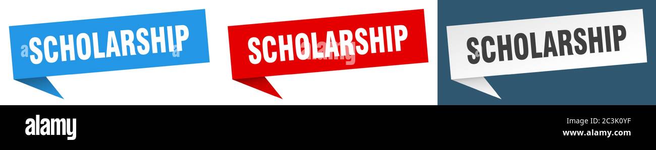 scholarship banner. scholarship speech bubble label set. scholarship ...