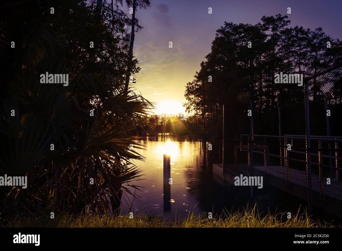 Grasslands palm trees hi-res stock photography and images - Alamy