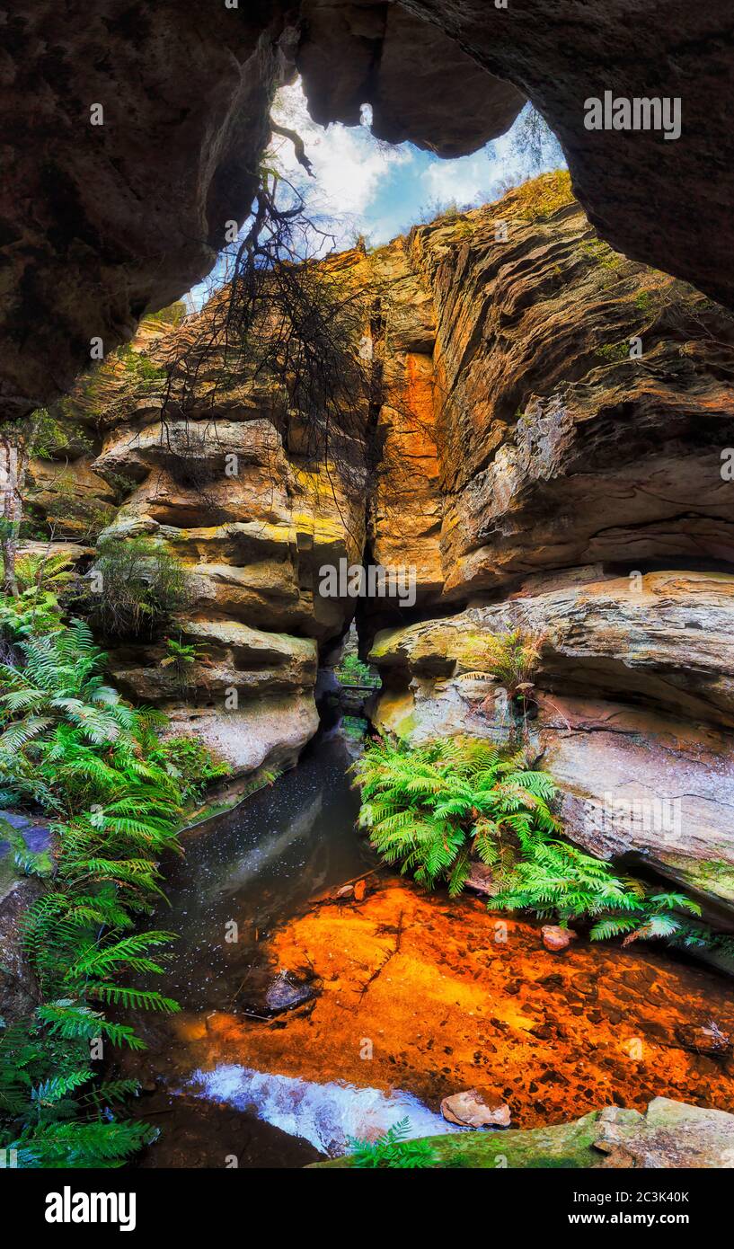 Narrow deep well in sandstone rocks of BLue Mountains national park ...