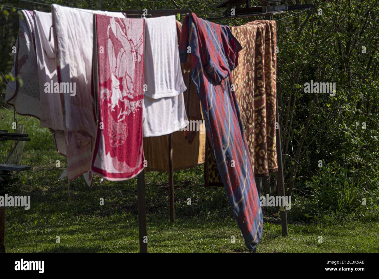 Laundry hanging and drying with trees on the background Stock Photo - Alamy