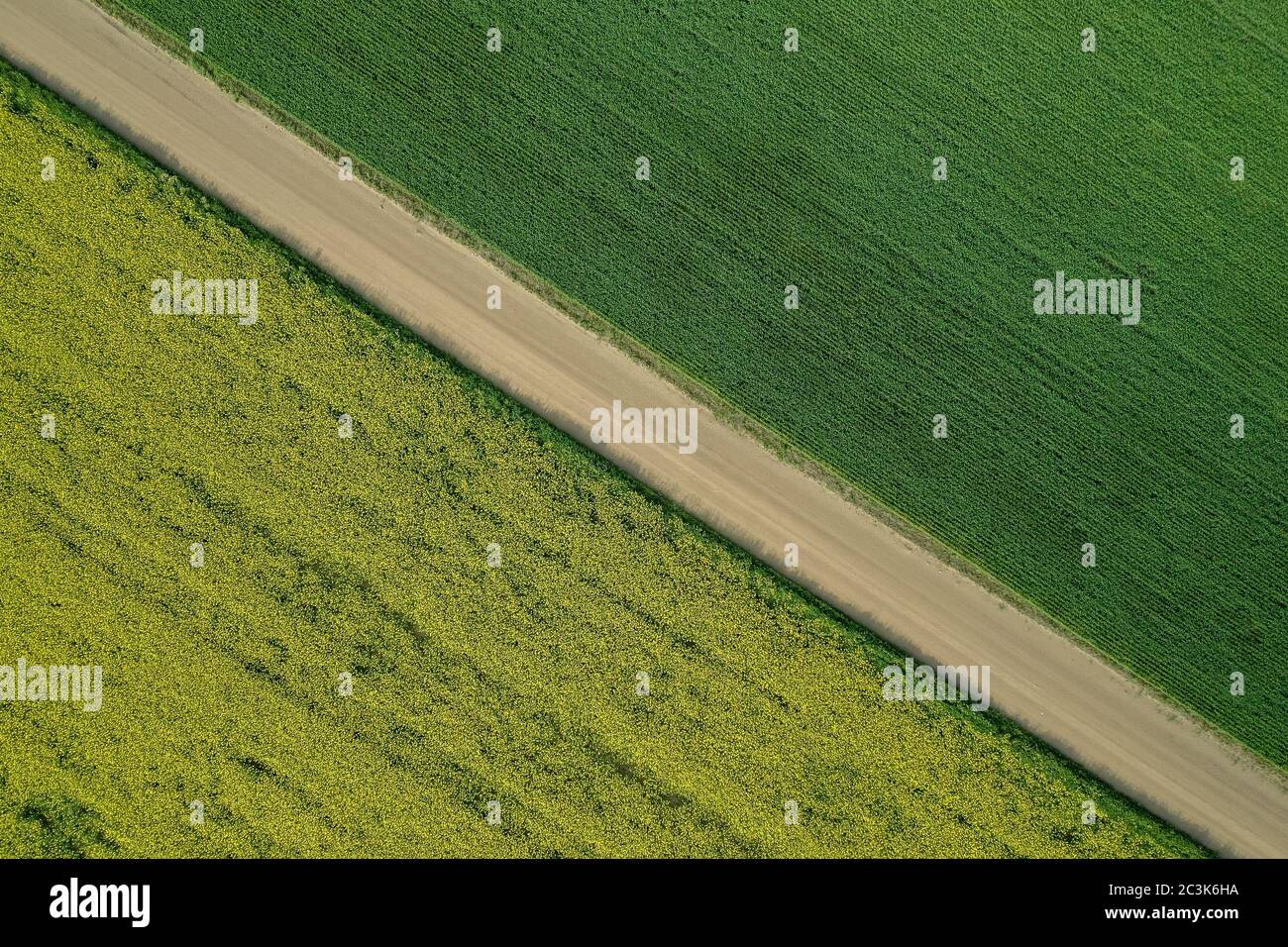 Overhead shot of a large farming field with a narrow road in the middle ...