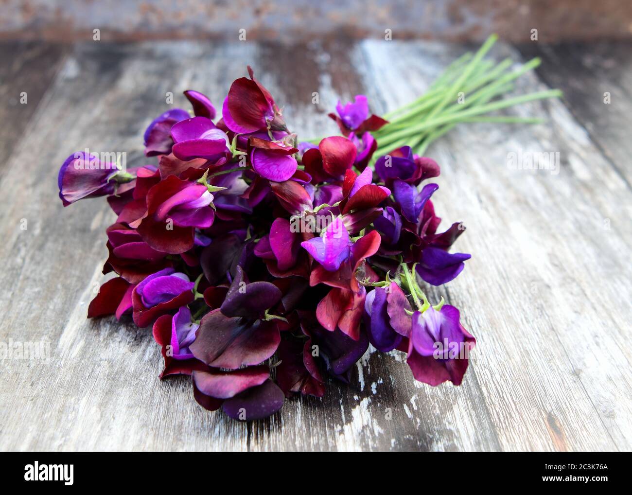 Bunch of purple sweet pea flowers Stock Photo - Alamy