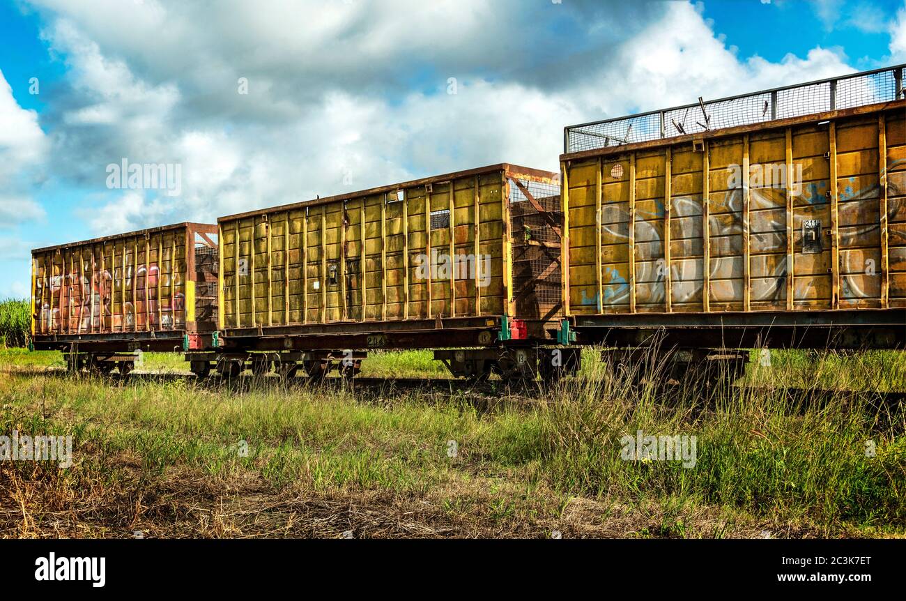 Graffiti on sugar cane train in far North Queensland, Australia Stock ...