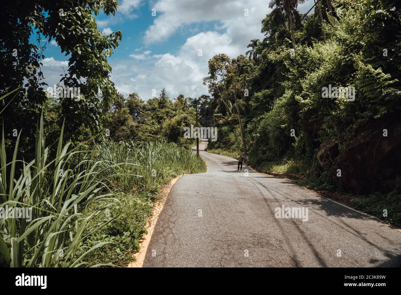 Road with the tropical forest in Brazil Stock Photo - Alamy
