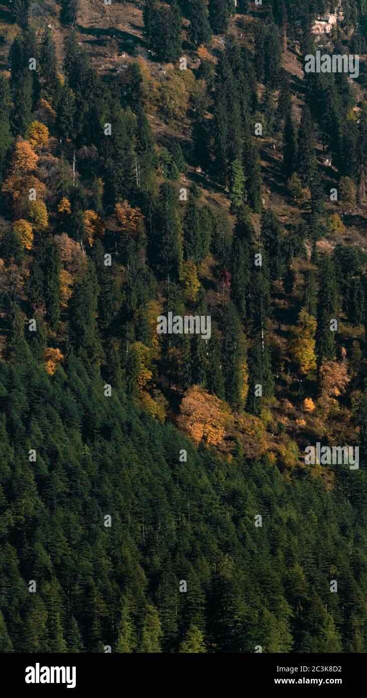 Birds-eye view of Manali, Himachal Pradesh, India during autumn Stock ...