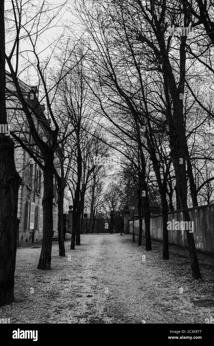 Vertical shot leaf in Black and White Stock Photos & Images - Alamy