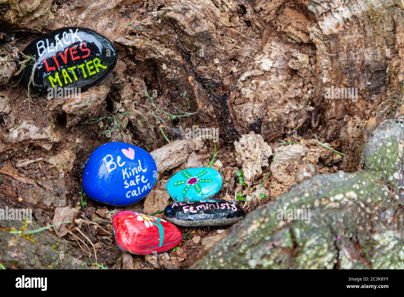 Painted stone tokens of encouragement and hope placed in a rotting tree ...