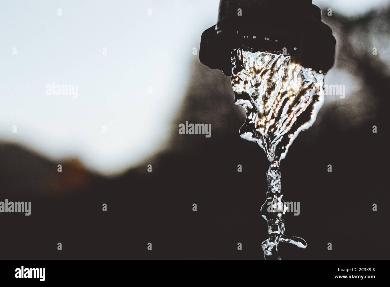 Selective focus shot of the water dripping from a faucet with the trees ...