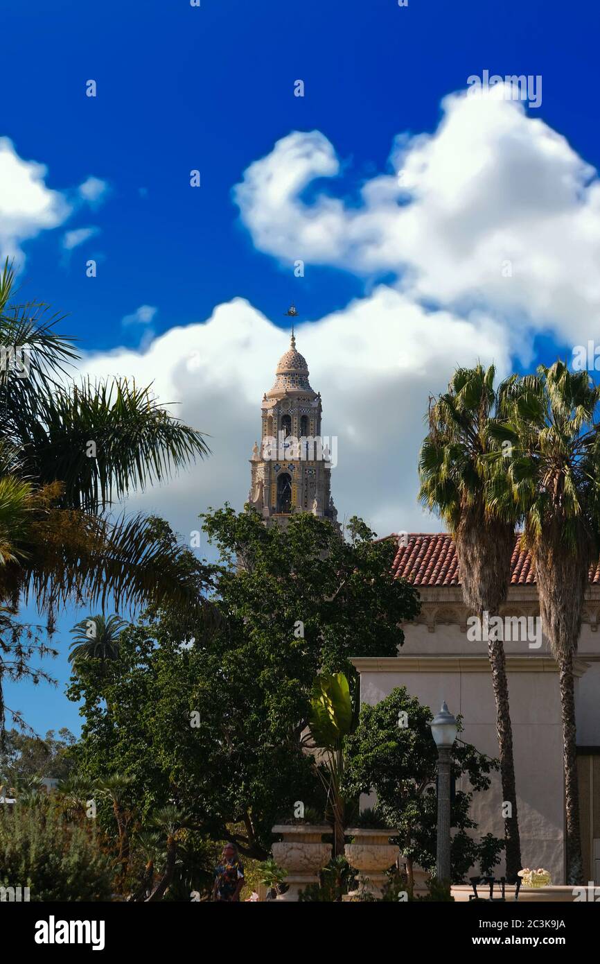 Bell Tower and Palm Trees Stock Photo - Alamy