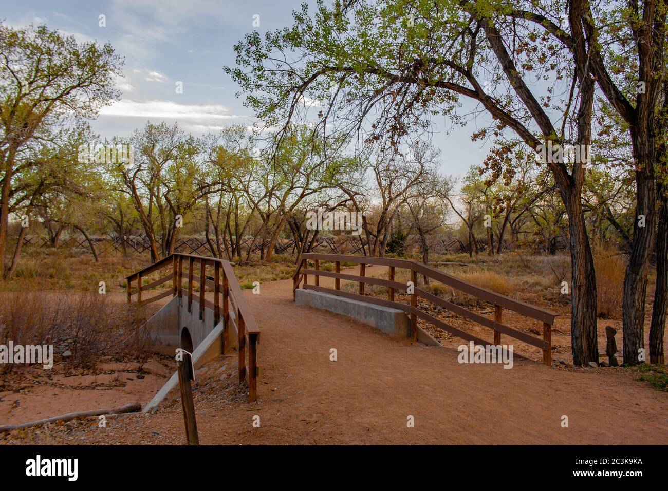 Bridge amid cottonwood trees in the Bosque along Rio Grande River in ...