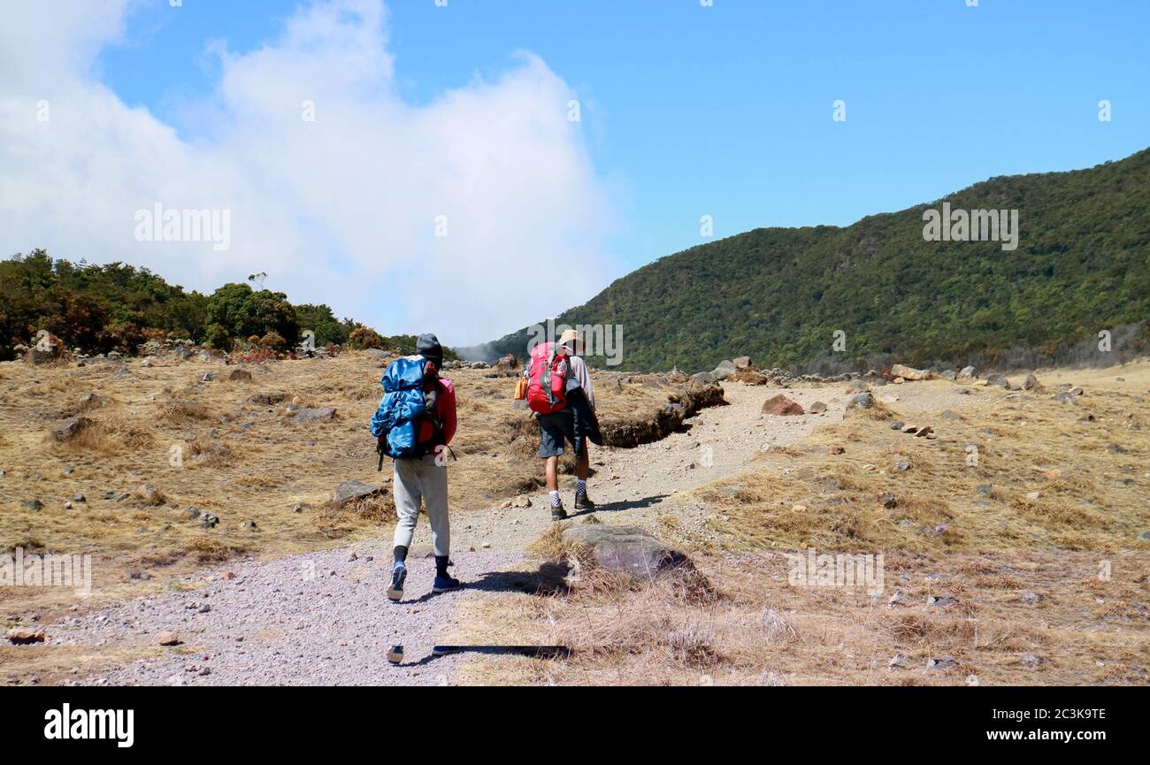 People hiking to Mount Gede in West Java Stock Photo - Alamy