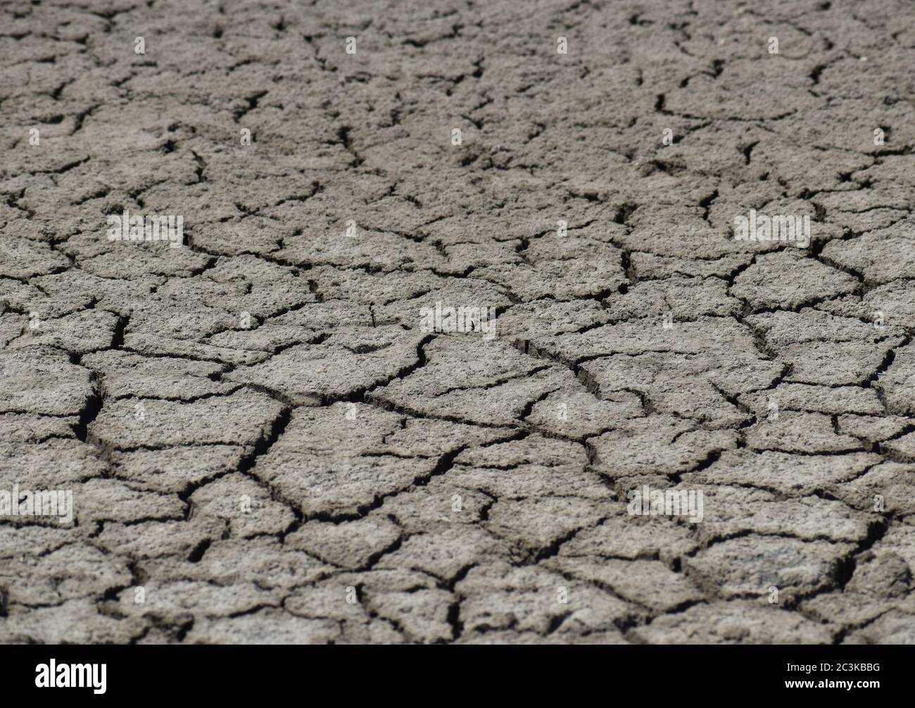Cracked mud on the shore of a dying lake Stock Photo - Alamy