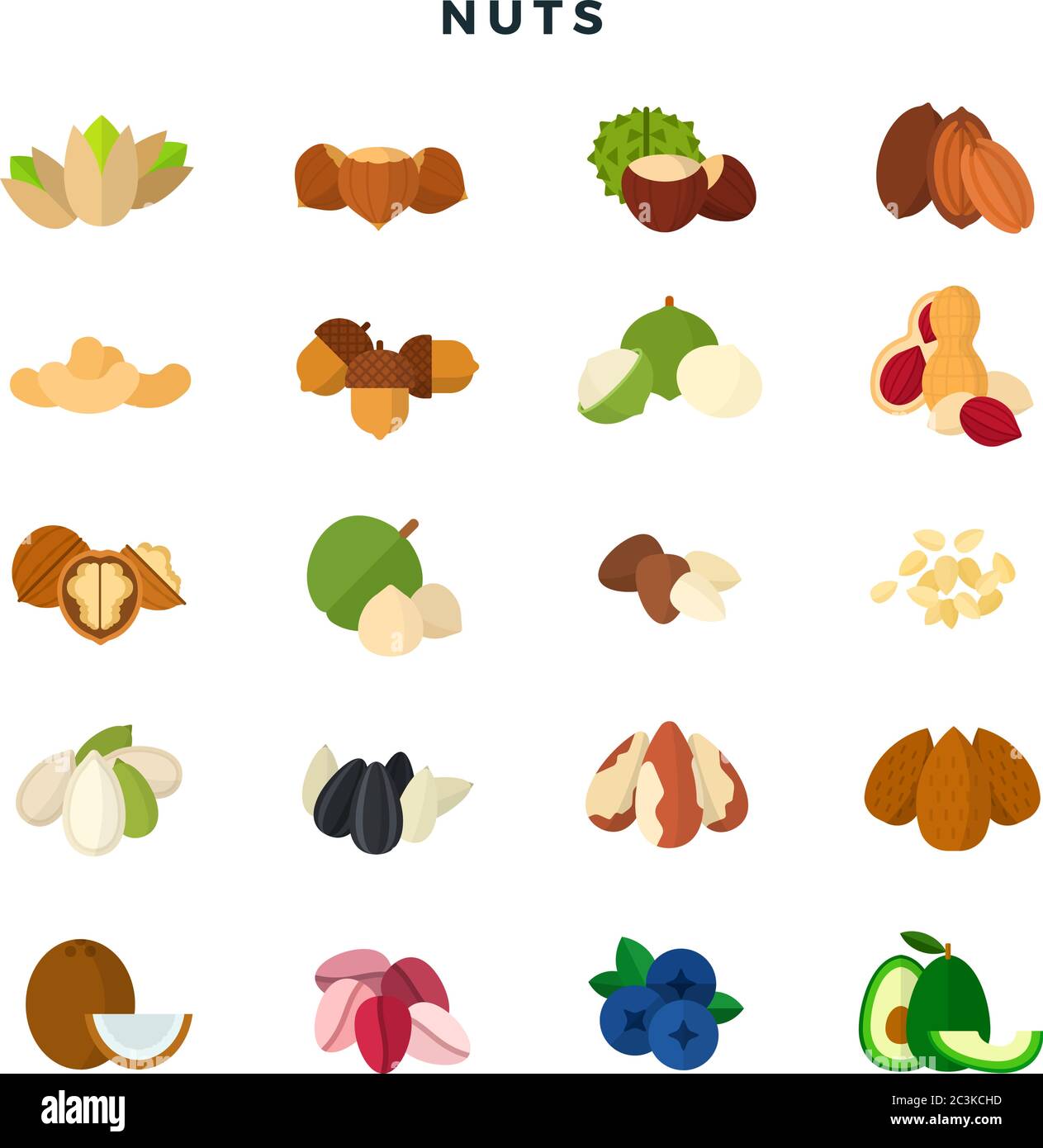 Nuts of all kinds. Set of various nuts, grains and seeds. Vector ...