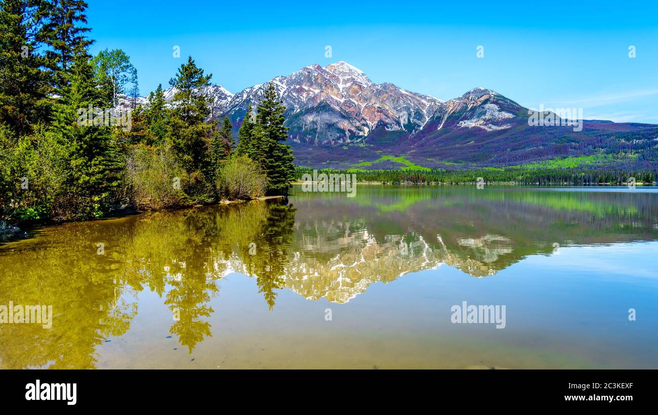 Indian ridge jasper hi-res stock photography and images - Alamy