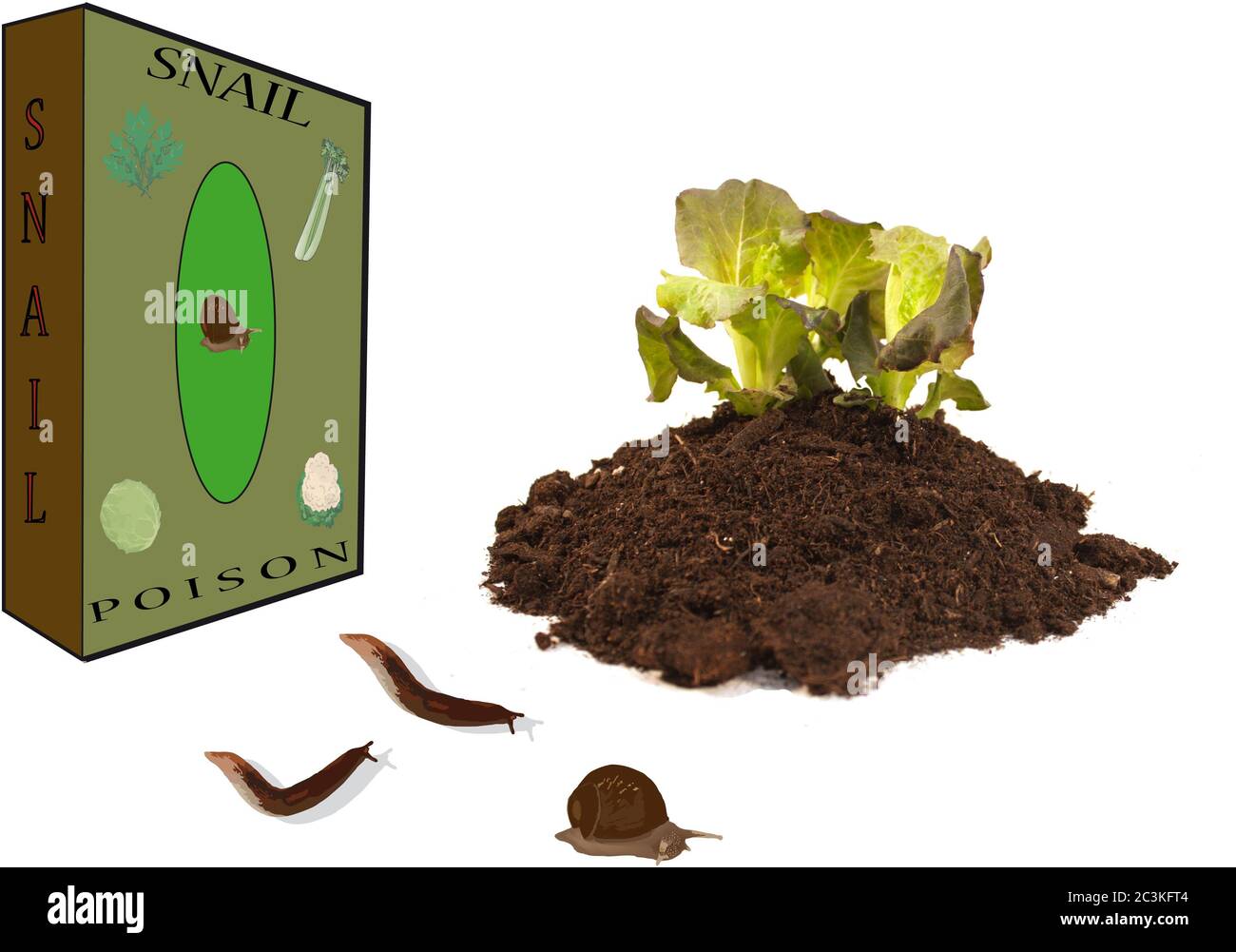Soil with a plant and a box with a snail on it Stock Photo - Alamy