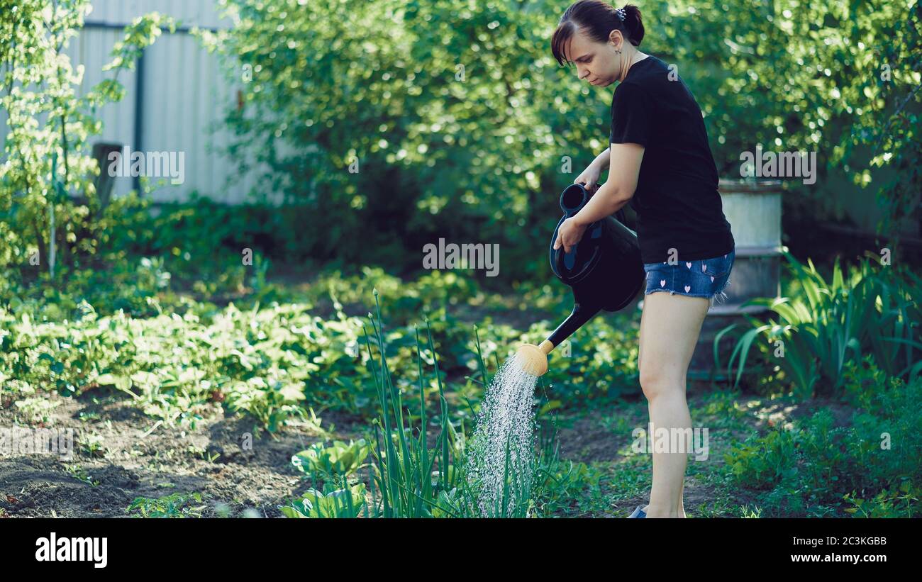 Seedbed hi-res stock photography and images - Alamy