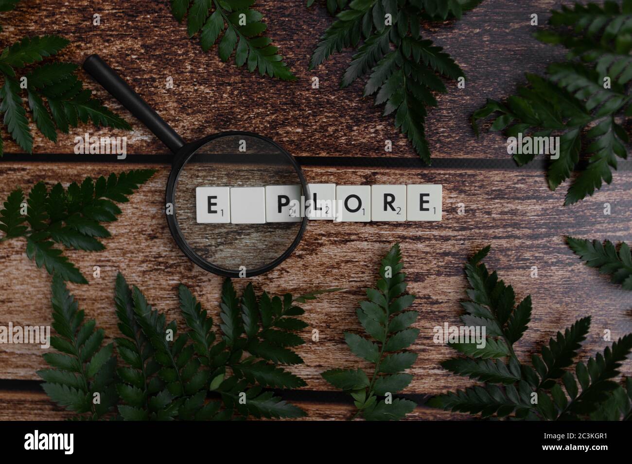 Explore from scrabble blocks Stock Photo - Alamy