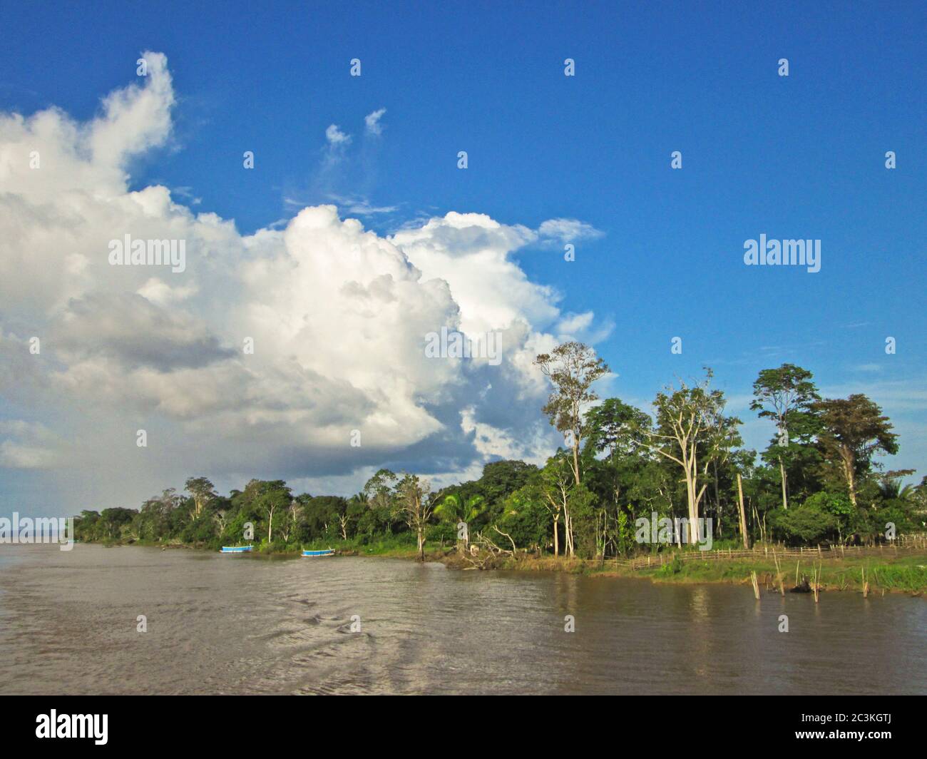 Amazon rainforest blue sky hi-res stock photography and images - Alamy