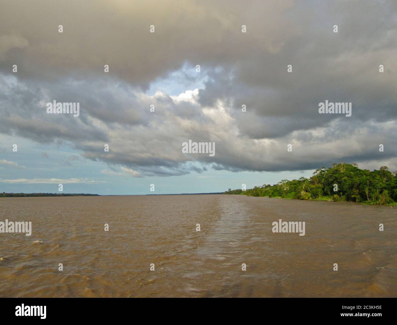 Amazon river view from a riverboat, Amazon Basin, Brazil Stock Photo ...