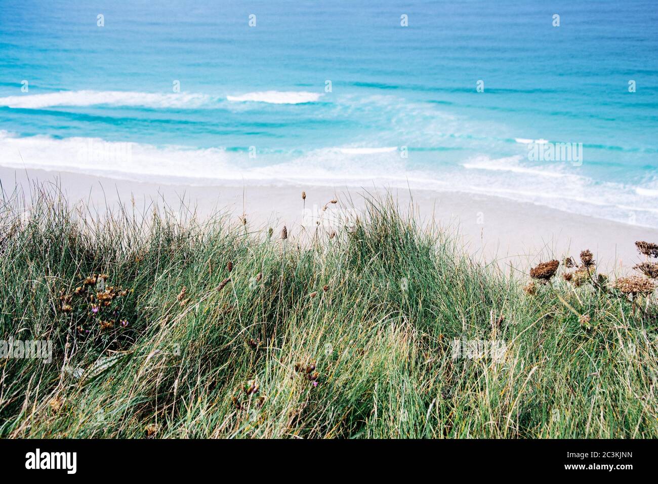 Beautiful shot of the blue sea and a beach with sand and green grass ...